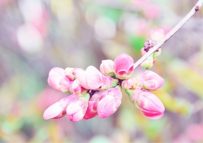 can you smell spring?